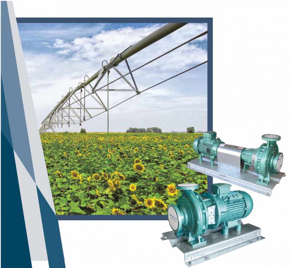 Pumps Direct | Pumps online